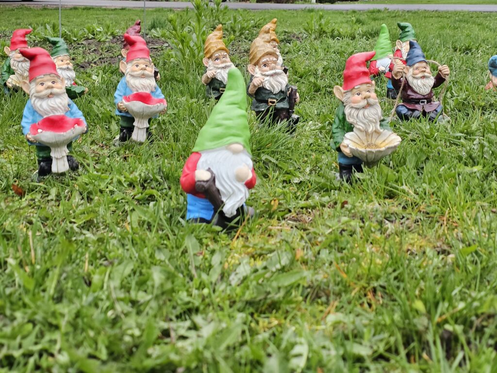 You've Been Gnomed! - Dundas Manor